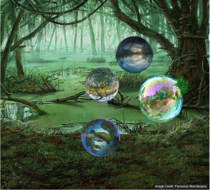 Research – Gary Shiu – UW–Madison