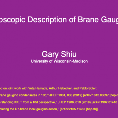Gary Shiu – String theory, Particle Physics, and Cosmology – UW–Madison