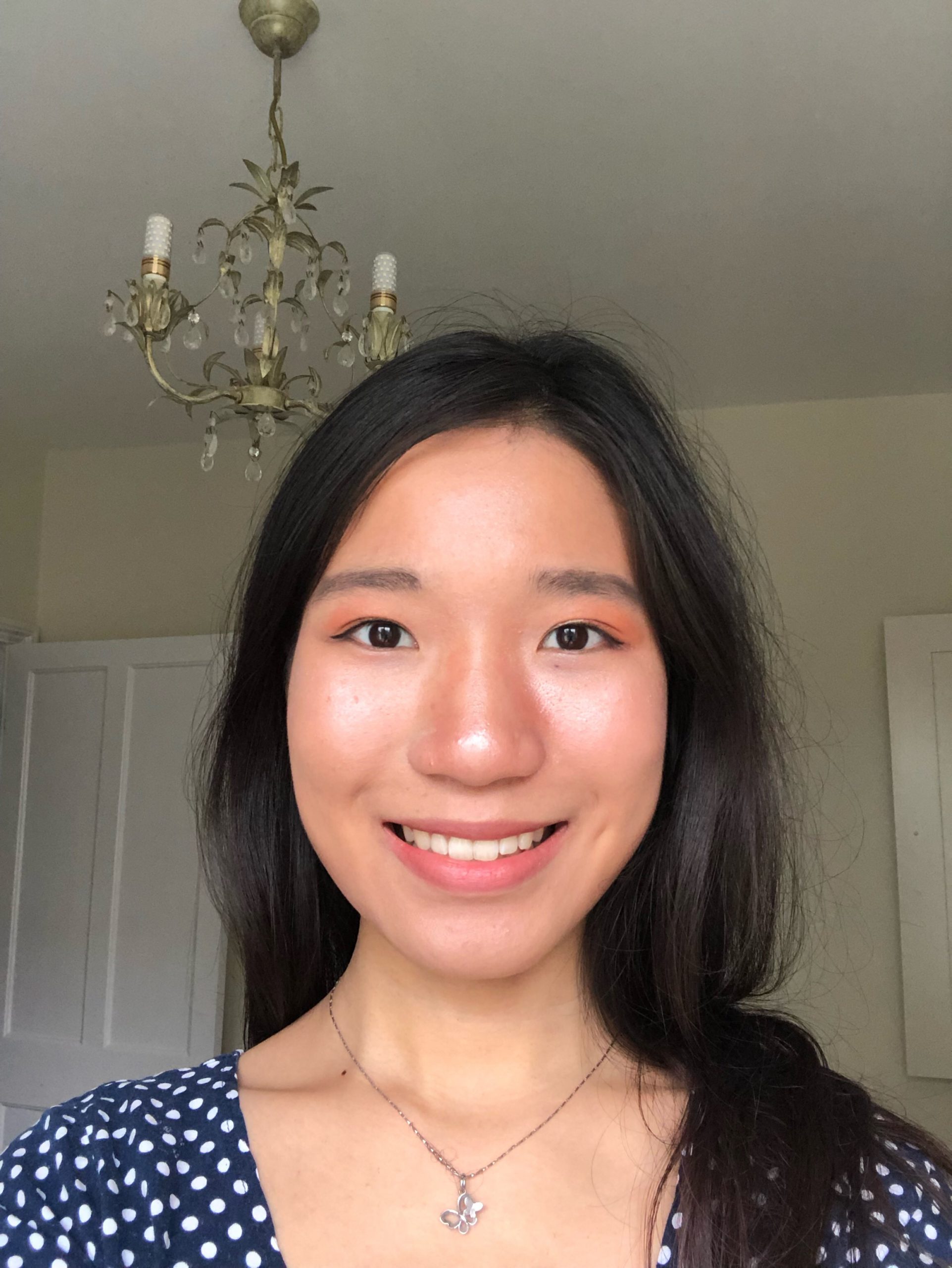 Wang, Yiting – Gary Shiu – UW–Madison